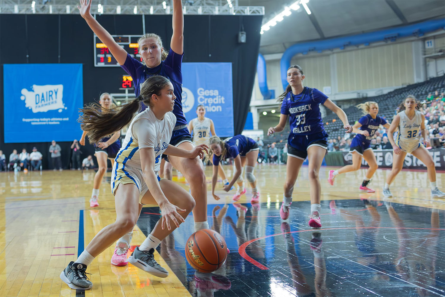 The Deer Park Lady Stags' Quest For State Glory - Deer Park Gazette